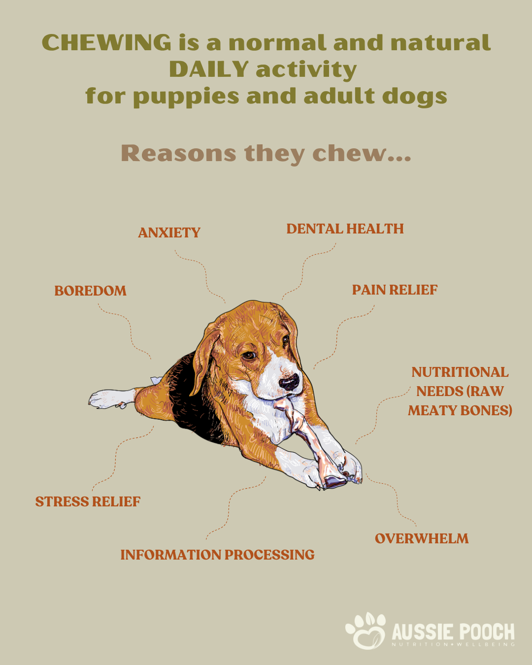 Chewing is a normal and natural daily activity for puppies and adult d ...