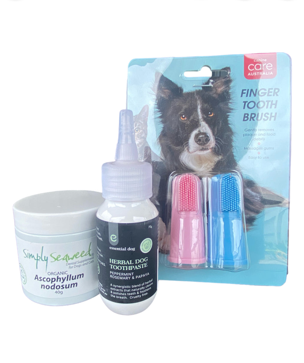 Healthy Teeth & Gums Bundle – Aussie Pooch Nutrition & Wellbeing