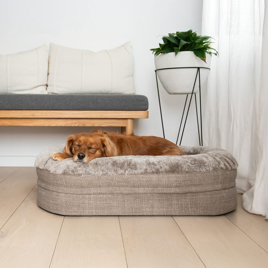 Orthopaedic Memory Rest Bed – Aussie Pooch Nutrition & Wellbeing