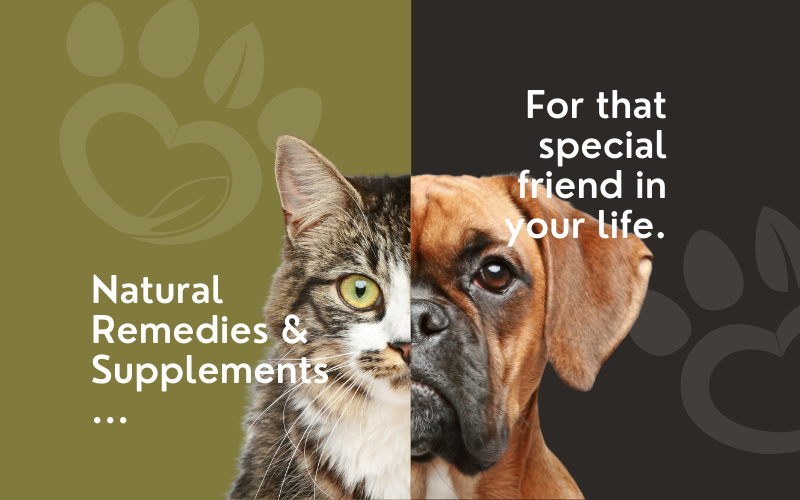 Tonka Infinity Tread Tug Yellow/Black 29cm – Aussie Pooch Nutrition ...