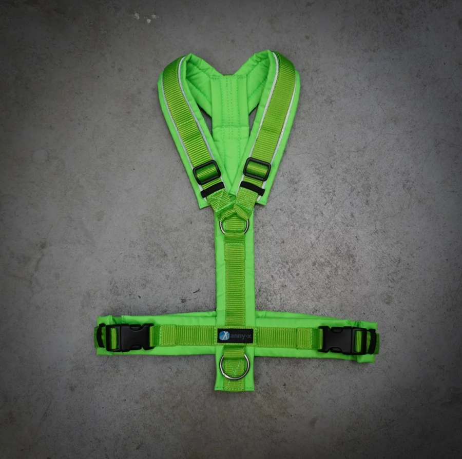 Anny.x Harness Fun – Aussie Pooch Nutrition & Wellbeing